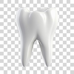 3D Tooth Element For Transparent PNG Composition [download] - Designi