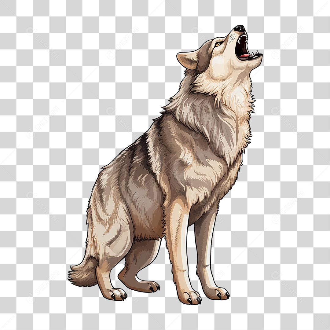 Desenho Lobo Wolf Cartoon PNG Transparente [download] - Designi
