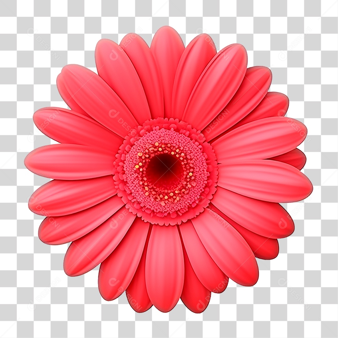 Flor PNG Transparente [download] - Designi