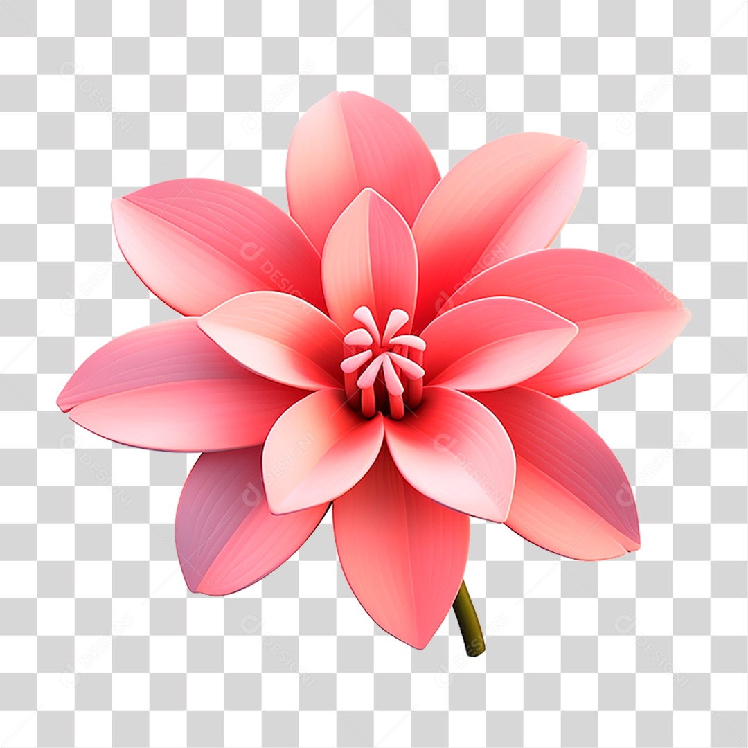 Flor PNG Transparente [download] - Designi