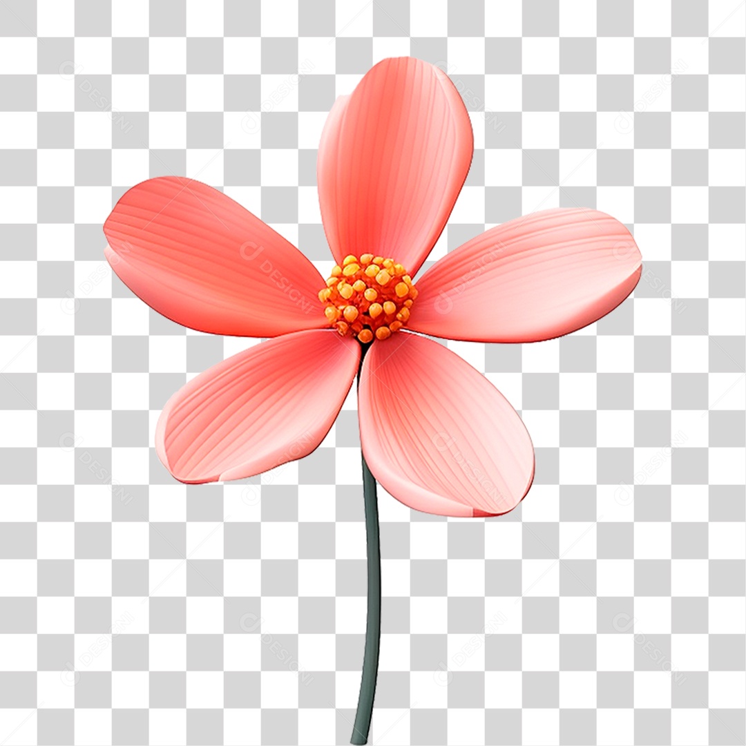 Flor PNG Transparente [download] - Designi