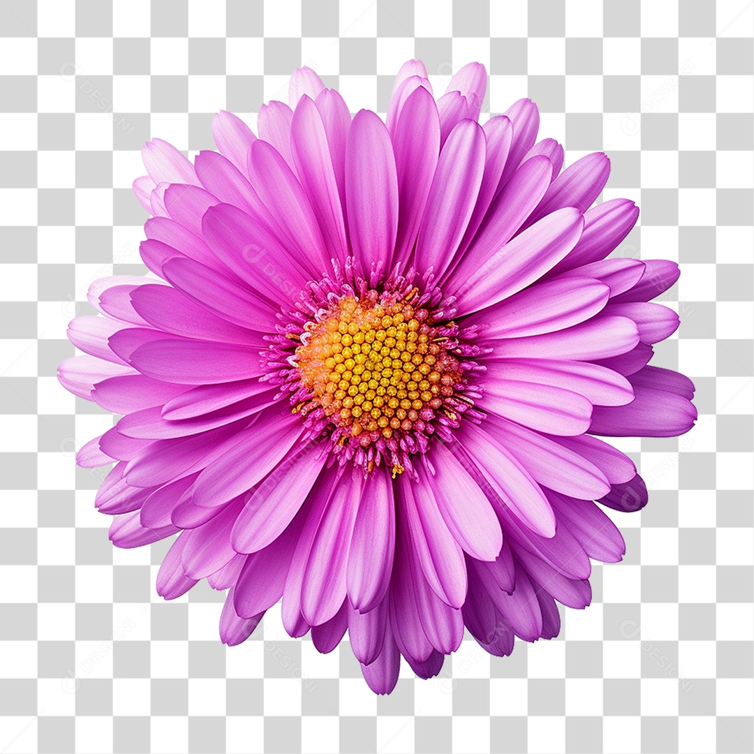 Flores Rosas Plantas PNG Transparente [download] - Designi