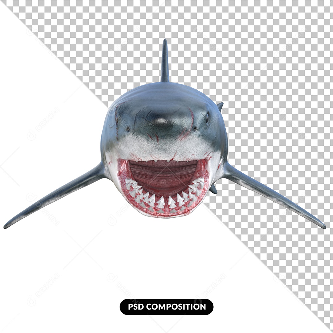 Tubarão Branco de Frente Elemento 3D para Composição PSD [download ...