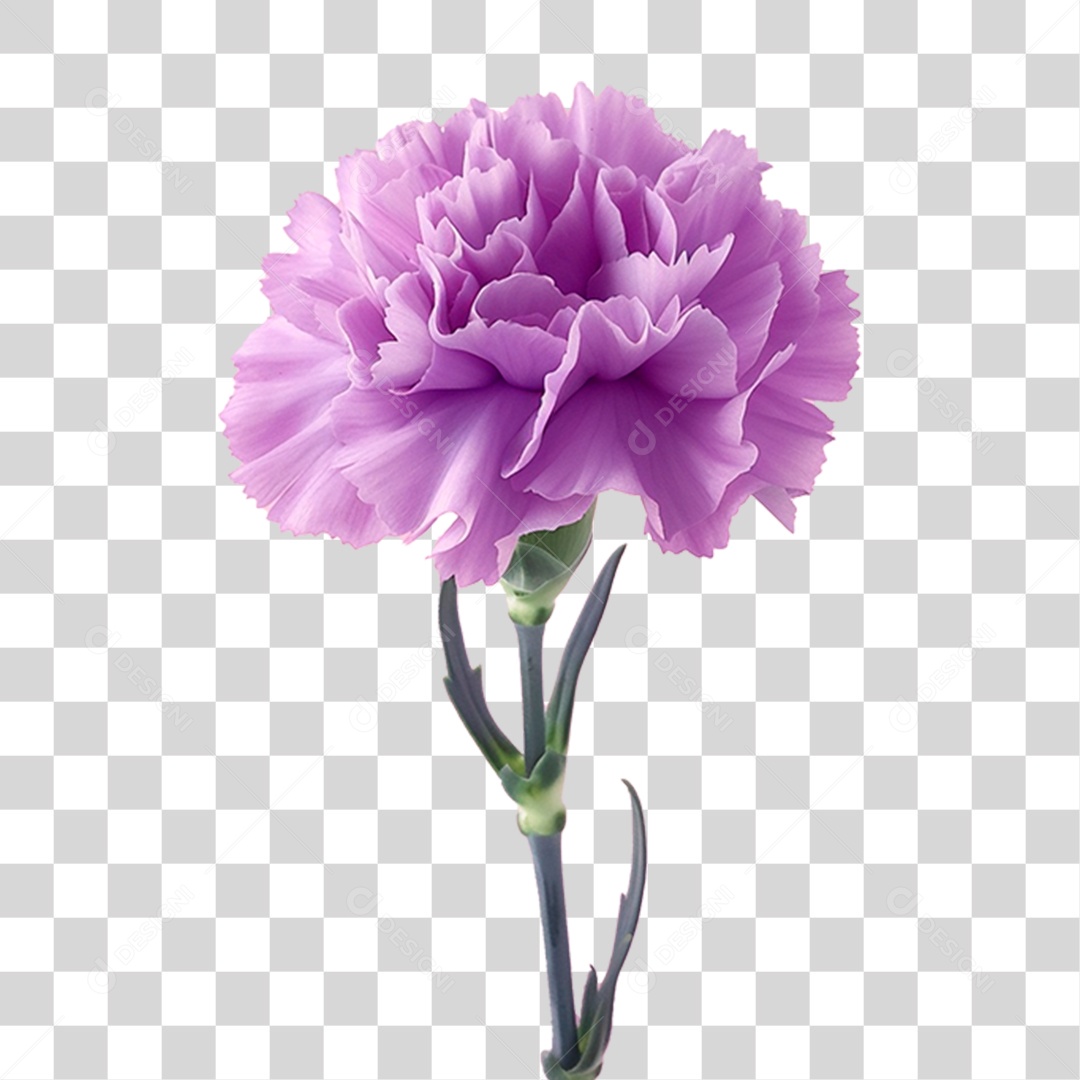 Flor Roxa PNG Transparente [download] - Designi