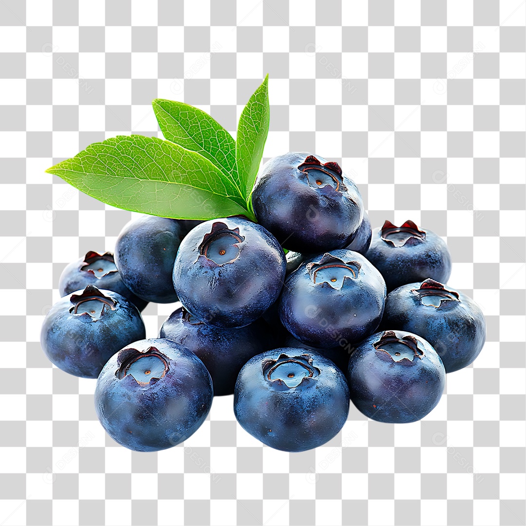 Mirtilo PNG Transparente [download] - Designi